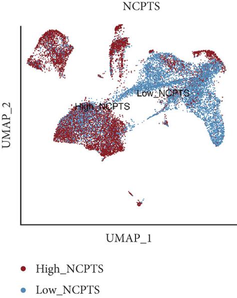 Single Cell Sequencing Analysis Of Glioma And Meningioma Sample A B Download Scientific