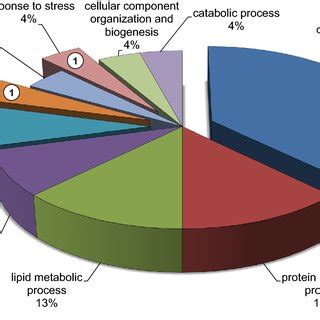 Functional Classification Of 24 Identified Secreted Proteins Numbers