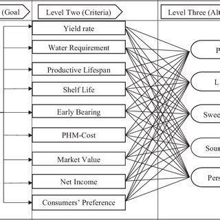 Model Of A Three Level Hierarchical Structure Download Scientific Diagram