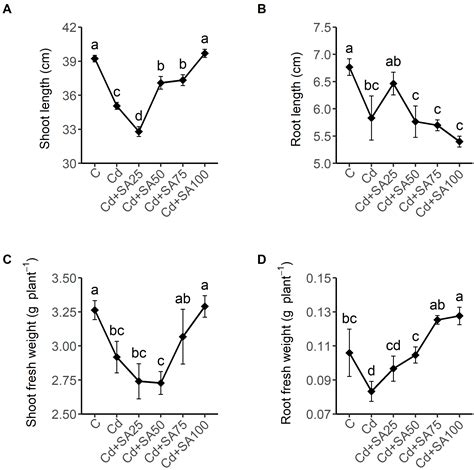 Ijms Free Full Text Salicylic Acid Enhances Cadmium Tolerance And Reduces Its Shoot