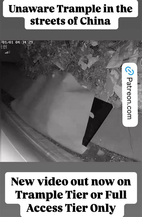 Unaware Trample In The Streets