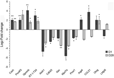 Validation Of Changes In Gene Expression By Quantitative Real Time PCR Download Scientific
