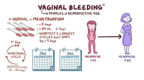 Menstrual Bleeding