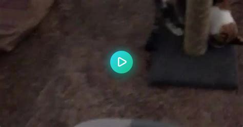 Cersei Tripping Balls On Catnip Album On Imgur