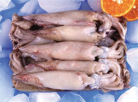 荣成海博海洋食品有限公司 产品中心 冷冻原料鱼系列