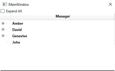 WPF Thoughts XamDataGrid Expand All