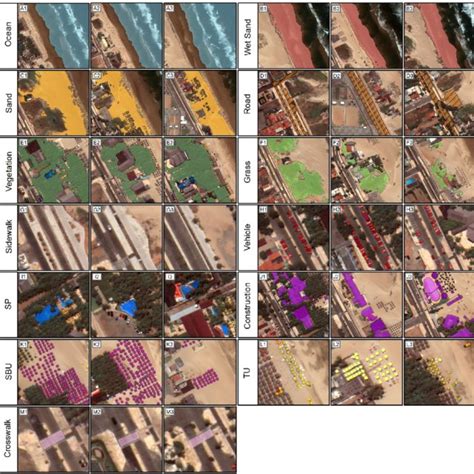 Examples Of Annotations For Each Class The Highlighted Segments Show
