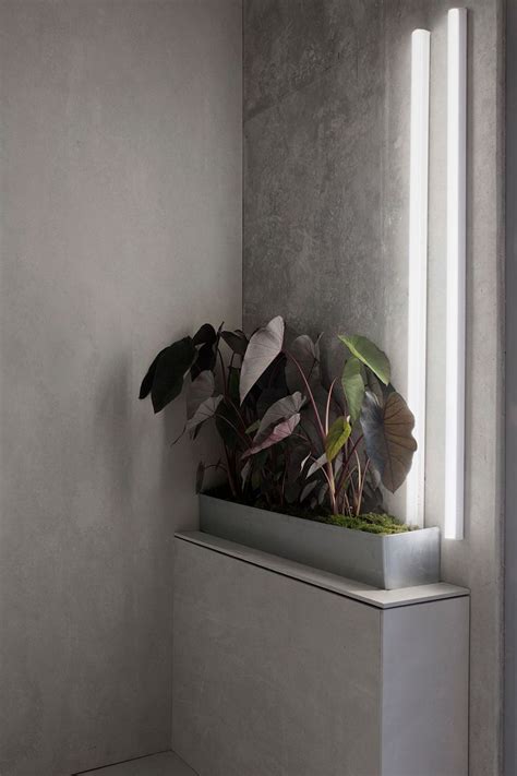 Marrickville Warehouse By Adele Mcnab Architecture Archipro Au