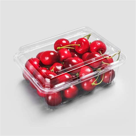 500g Fruit Clamshell Wtpak