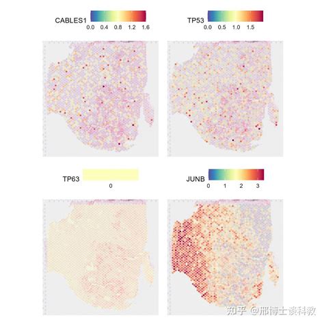 空间转录组零代码全流程分析教程，代做各领域分析和辅导 知乎