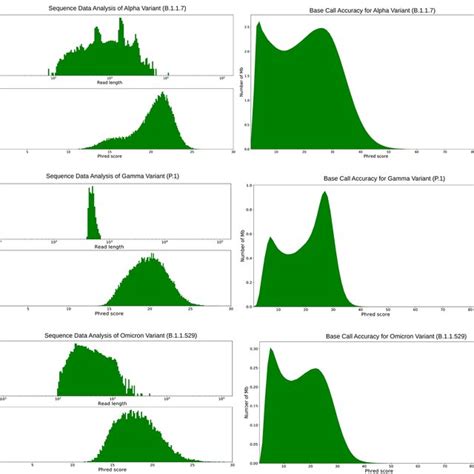 Process Overflow Of The Proposed Pipeline The Flowchart Represents The Download Scientific