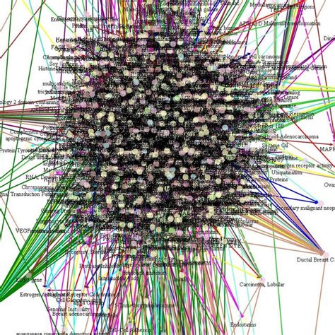 for large cross database exploration semantic substrates a provide a