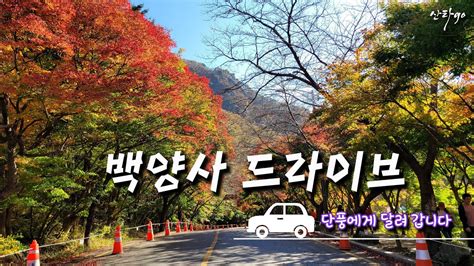 화려한 단풍의 극치 백양사 드라이브 Youtube