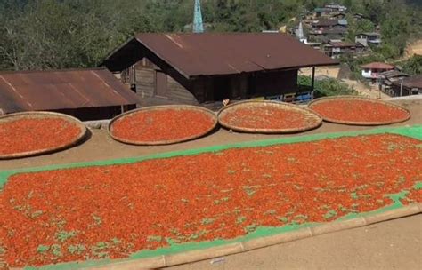 မိုးဗြဲမြို့ မွေတော်ဘုရားဘုန်းကြီးကျောင်းမှာ ၈ရက်ကြာ ပိတ်မိနေတဲ့ ပြည