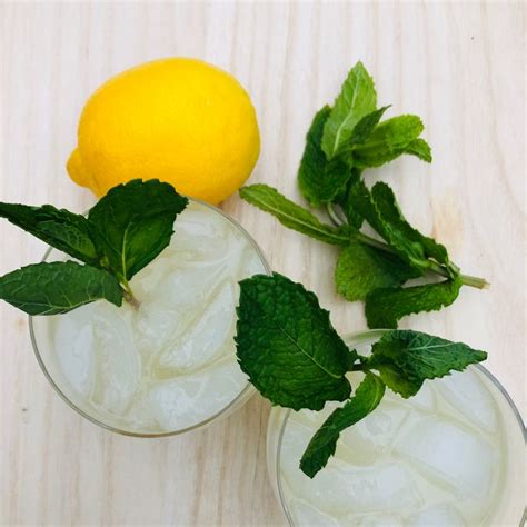 Lemon Mint Gin Smash Yummy Drinks Mint Cocktail Recipe Summer Drinks Alcohol