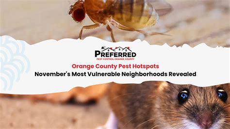 Orange County Pest Hotspots Novembers Most Vulnerable Neighborhoods