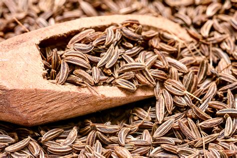 9 Major Side Effects Of Eating Too Many Caraway Seeds Lyikc
