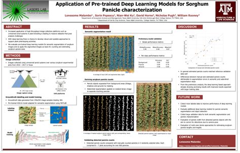 Pdf Application Of Pre Trained Deep Learning Models For Sorghum
