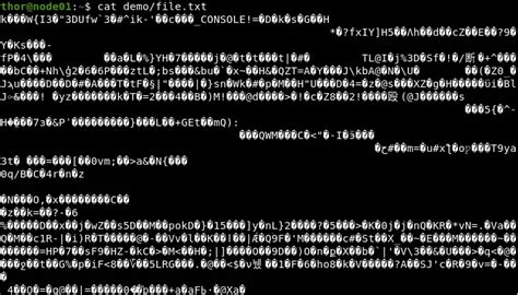 encrypt files and directories on linux using ecryptfs computingforgeeks