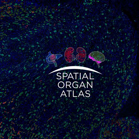GeoMx Digital Spatial Profiler NanoString