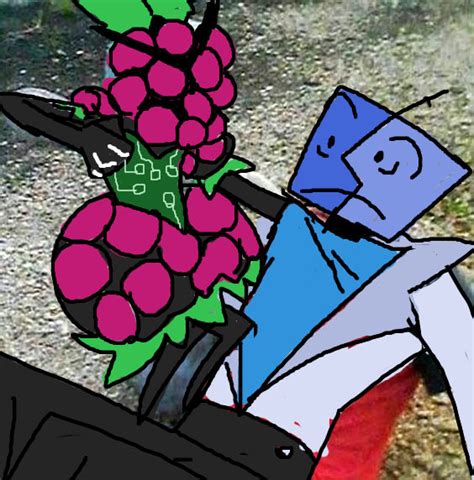 Do Not Call Raspberry Pi Short By Samothevideogame64 On Deviantart