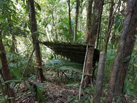 How The Hunter Gatherer Is Sigma 3 Survival School Facebook