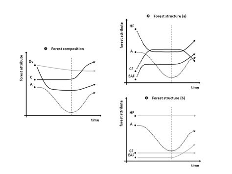 Temporal Dynamics Of State Variables Describing Forest Composition And