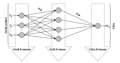 Basic Three Layer Ann Download Scientific Diagram