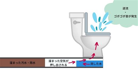 お風呂の排水口流れが悪い原因はつまり逆流したときの解消法を解説 トイレタンクの水漏れ修理の様子をご覧いただけます 水回りの