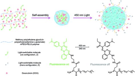 Schematic Illustration Showing The Photoisomerization Of Lsnp Upon 450