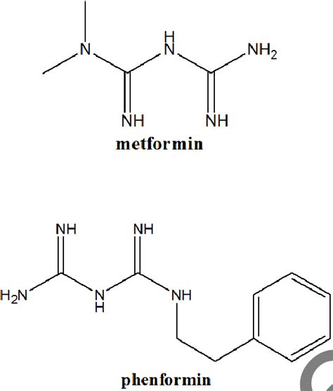 Chemical Structures Of Biguanides Metformin And Phenformin Download Scientific Diagram
