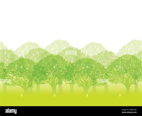 Vector Seamless Forest Illustration In Spring Colors With Text Space