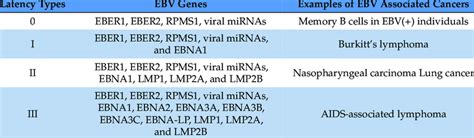 Ebv Gene Expression In Different Types Of Latency Download Scientific Diagram