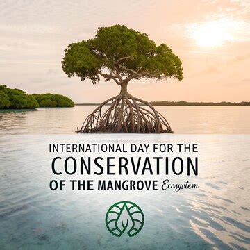 International Day For The Conservation Of The Mangrove Ecosystem