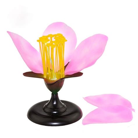 Detachable Giant Dicot Flower Peach Blossom Flower Vicedeal