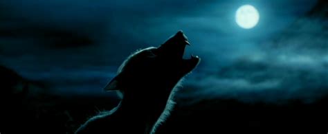 Professor Lupin In Werewolf Form Lupins Transformation “the