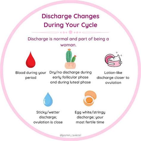 Luteal Phase Yellow Discharge At Indiana Brownless Blog