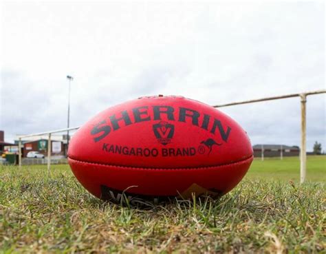 Chfl Closes Finals Crowd Incident Investigation The Courier