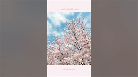 서울아산병원의 봄 Youtube