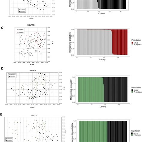Maps Of Individual Colony Locations And Stacked Barplots Of Species Download Scientific Diagram