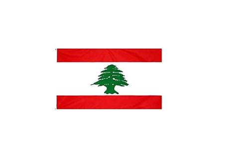Lebanon Flag Tree Bolisi Wholesale Lebanon Polymer Flag Double Side