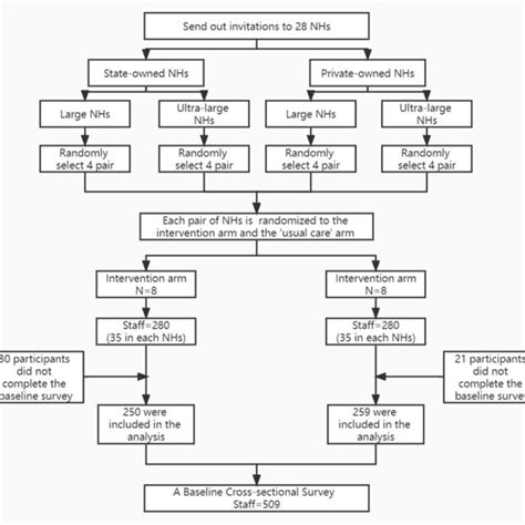 Flowchart Of Sampling And Random Assignment Nhs Nursing Homes