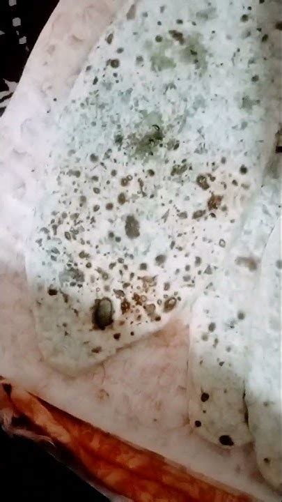 ԱՐՑԱԽԻ ՀԱՄՆ ՈՒ ՀՈՏԸ Youtube