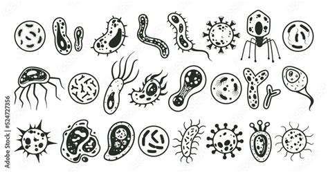 Bacteria And Microbes Cartoon Germs Microorganisms Silhouettes