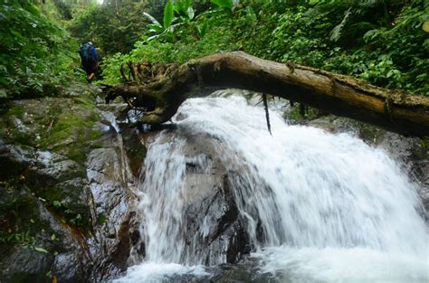 Mt Candalaga Mt Apo Adventures