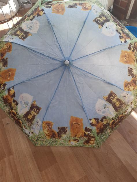 This Cat Brolly I Got For £1 R Thriftstorecats