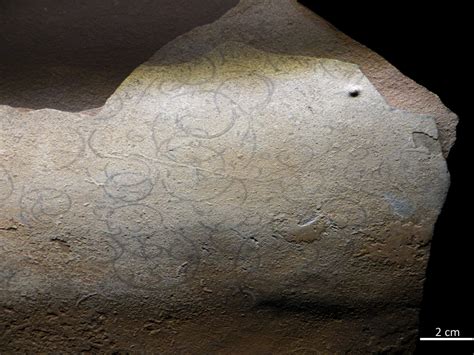 Banque Nationale De Photos En Svt