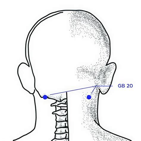 Acupressure Sequences For General Headaches Taking Charge Of Your