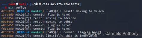 Bugku Web Sourcebugku Web Sourse Csdn博客