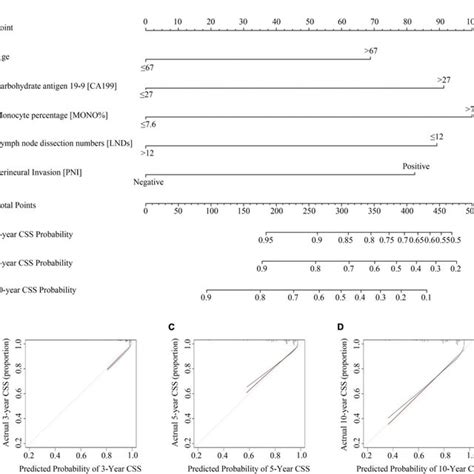 Construction And Validation Of Nomogram For Cancer Specific Survival